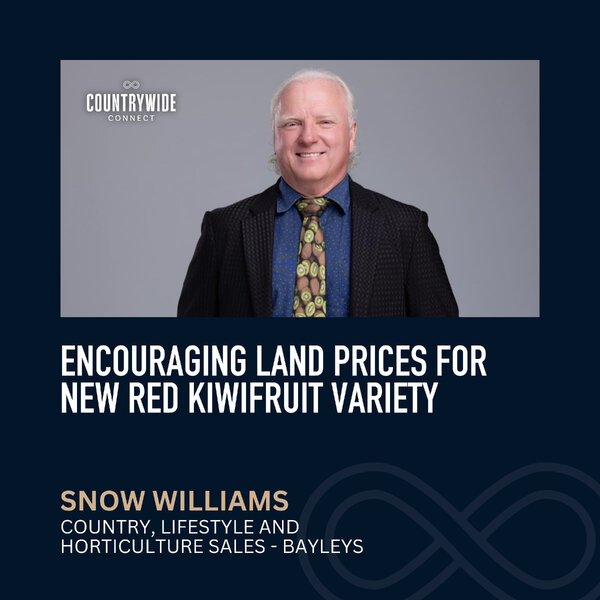 Snow Williams - Encouraging land prices for new red kiwifruit variety ...