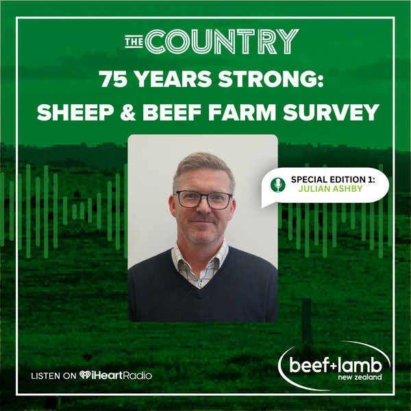 The Country with Beef + Lamb New Zealand: 75 years strong, the sheep ...