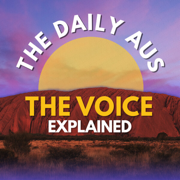 The Voice explained Part 1: Where did the Voice come from? - The Daily ...