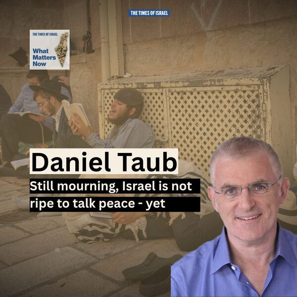 Day 665 - Daniel Taub: Still mourning, Israel is not ripe to talk peace ...