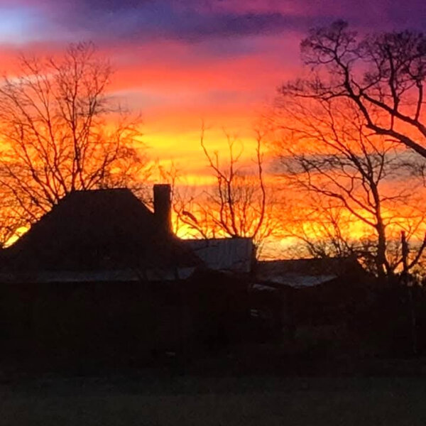 Pastor Williams & Chris Reid Discuss the Revival Happening on College ...