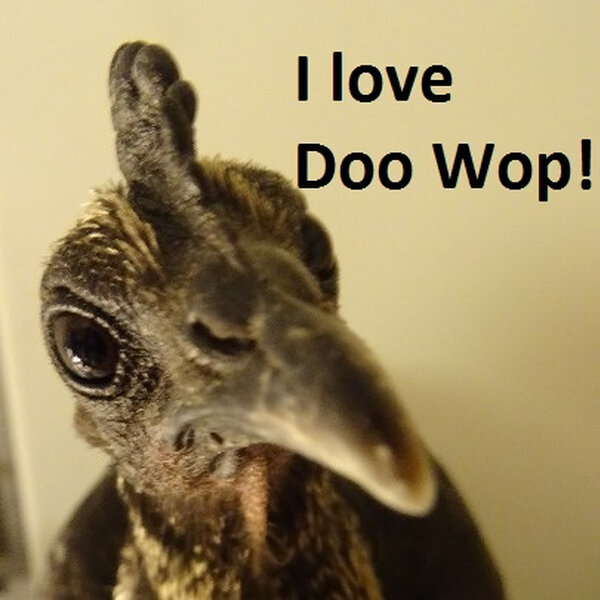 The Doo Wop Corner Podcast - 2023-11-21 - The Doo Wop Corner - Omny.fm