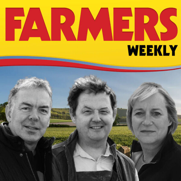 Why farming needs better leaders, illegal meat imports, lamb welfare ...