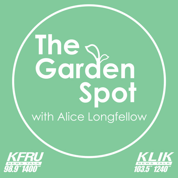 The Garden Spot with Alice Longfellow - Shorter Days and Colder ...