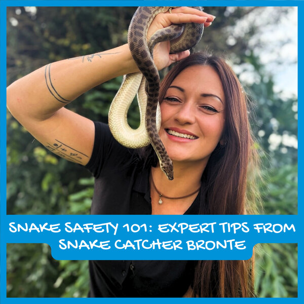 Snake Safety 101: Expert Tips from Snake Catcher Bronte - The Hunter ...