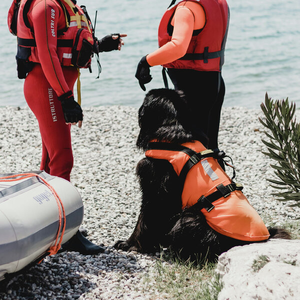 Party for Two - Crime - Water Safety - Government getting things done ...