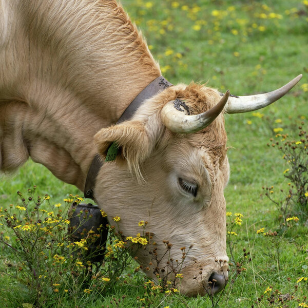 Party for Two with Bob Richardson | Ford Backs Carney's Auto Strategy ...