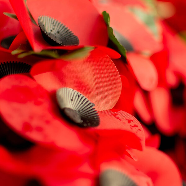 Remembrance Day - Pipelines and bad LCBO management - Ask a former ...