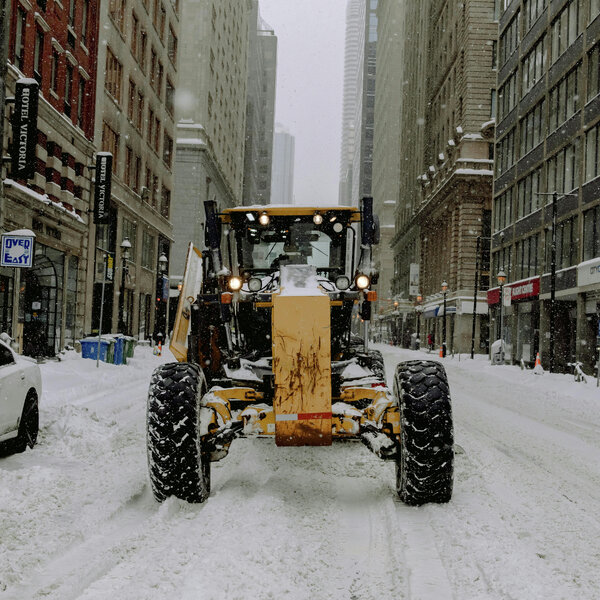 Toronto snowfall | Python as a service animal | Road updates | Winter ...