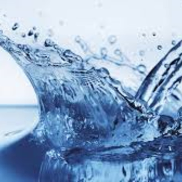 WWF Scenarios for the Future of Water in South Africa - Today with ...