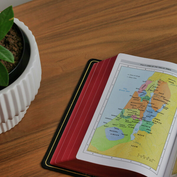 Bible Prophecy, Modern Conflict & Healing Sanctuaries: A Call to ...