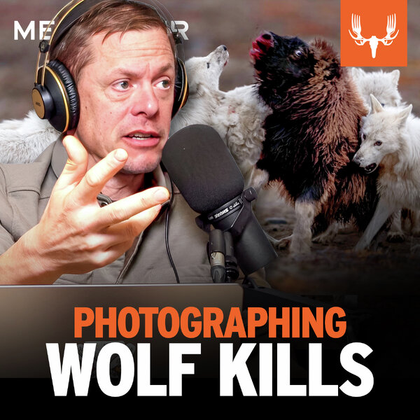 Ep. 814: Photographing Wolf Kills, Underwater Beavers, and Other ...