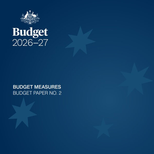 Labor MPs asked to allocate spare funds towards ad campaign for federal ...