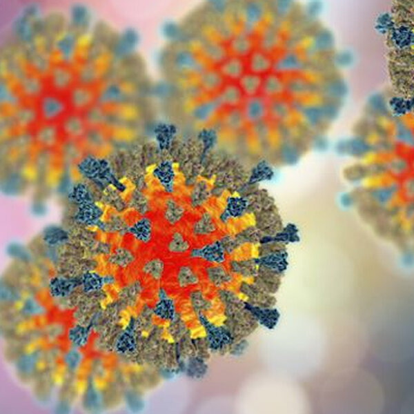 Measles warning issued for the Central Coast - The New South Wales ...