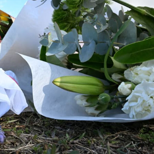 Today marks two years since the Greta bus tragedy - The New South Wales ...
