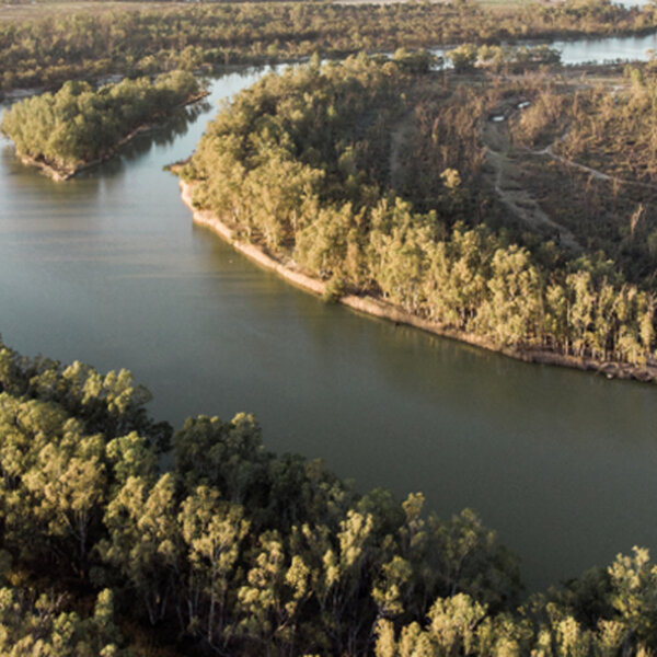 Water inquiry hearings resume in Deniliquin and Griffith after weather ...