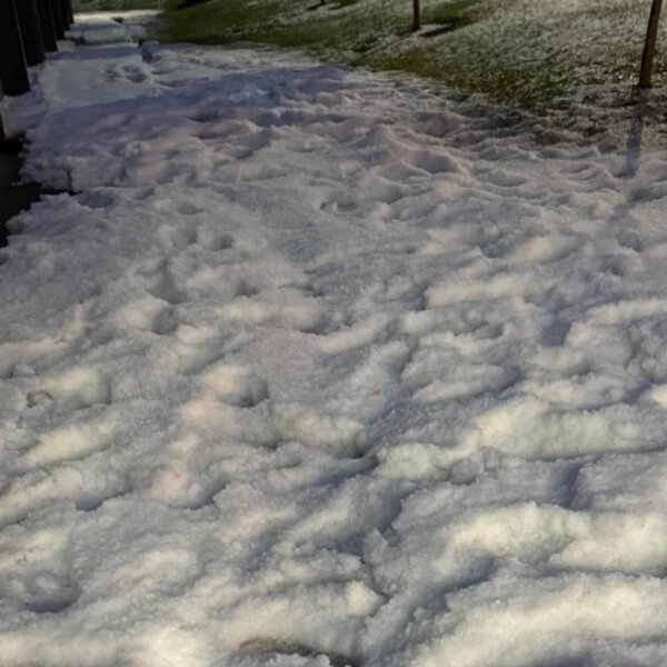 Hail so thick and fine in Brisbane's North it resembled snow! - The ...