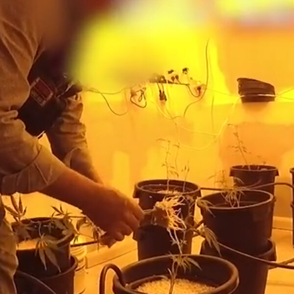 Police execute outlaw bikie gang busts on the Sunshine Coast and Hervey ...