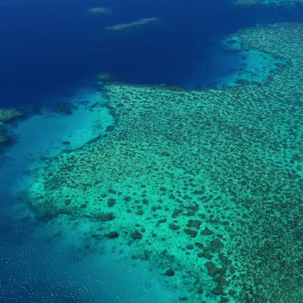 Tourism operators inspect Great Barrier Reef after wild weather - The ...