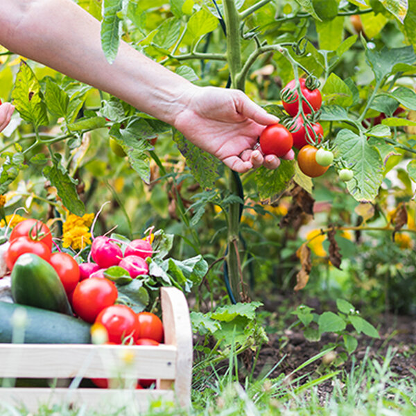 Changes to workers hours on PALM scheme walked back - The Rural News ...