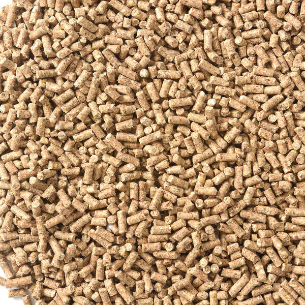 Turning food waste into animal feed - The Rural News - Omny.fm