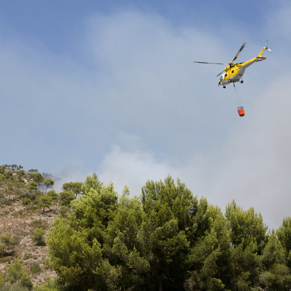 New AI bushfire detection system coming to South Australia - The South ...