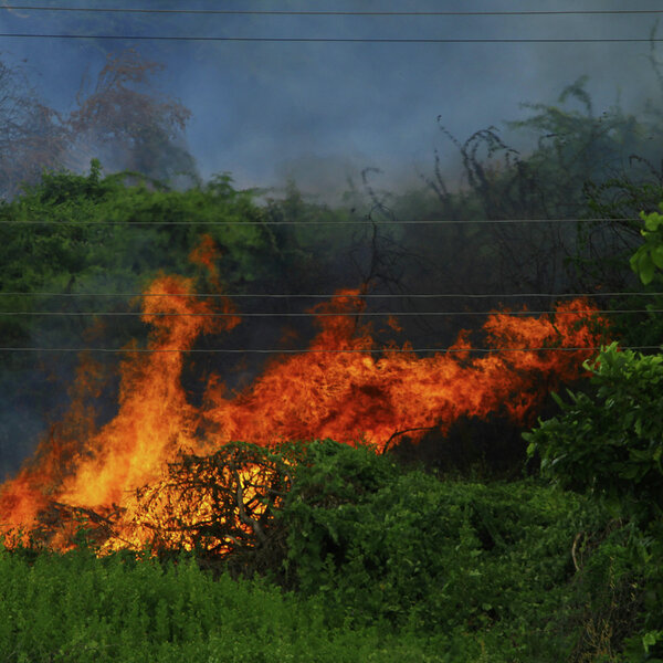 Another big funding boost for bushfire recovery following the Longwood ...