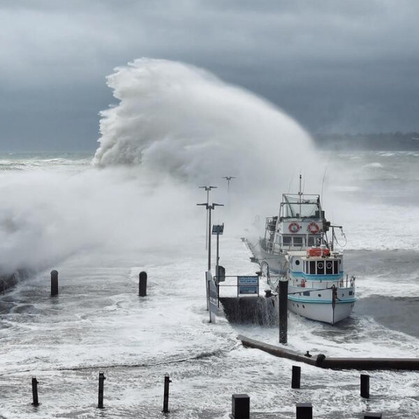 Severe weather warning for damaging winds in Melbourne; SES receives ...
