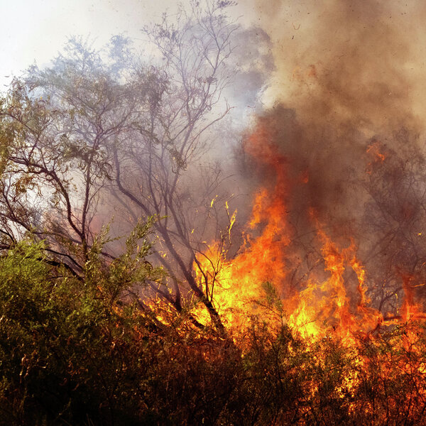 The Premier weighs in as Longwood fire continues to burn - The Victoria ...