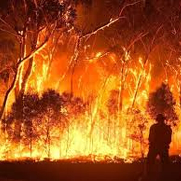 A busy bushfire season already prompts more warnings for residents ...