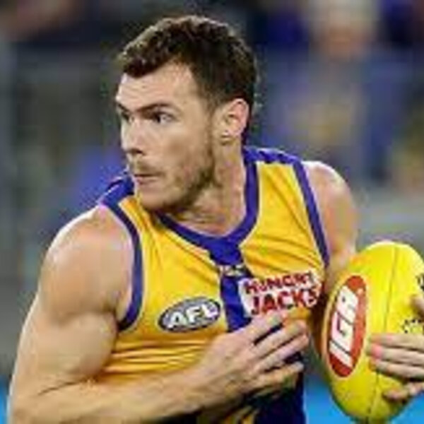 Double injury blow to Eagles skipper Luke Shuey - The Western Australia ...