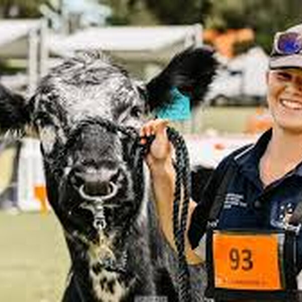 Esperance's own Grace Henderson named among the best young dairy cattle ...