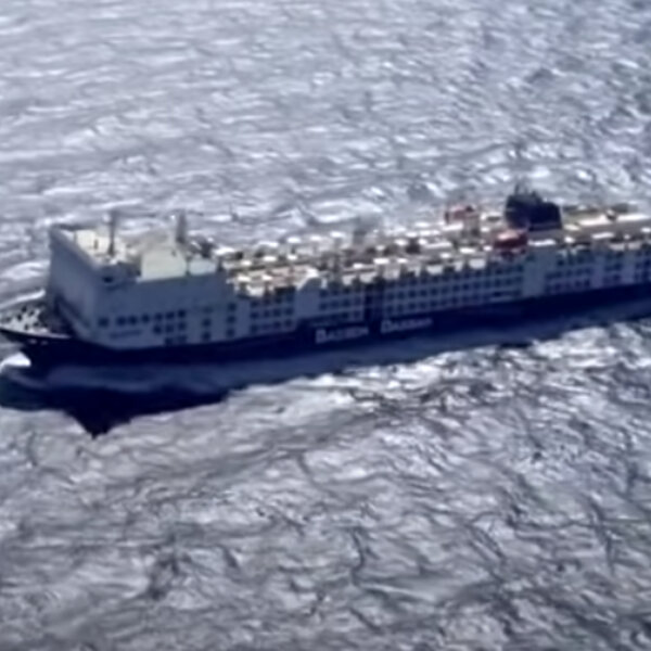 Thousands of sheep and cattle still in limbo on ship docked in ...