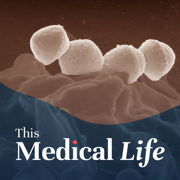 Episode 22: Group A Streptococcus / Streptococcus Pyogenes | A ...