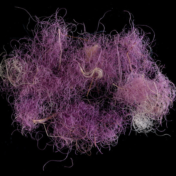 Spectacular 'biblical' royal purple cloth at Timna and all about ...
