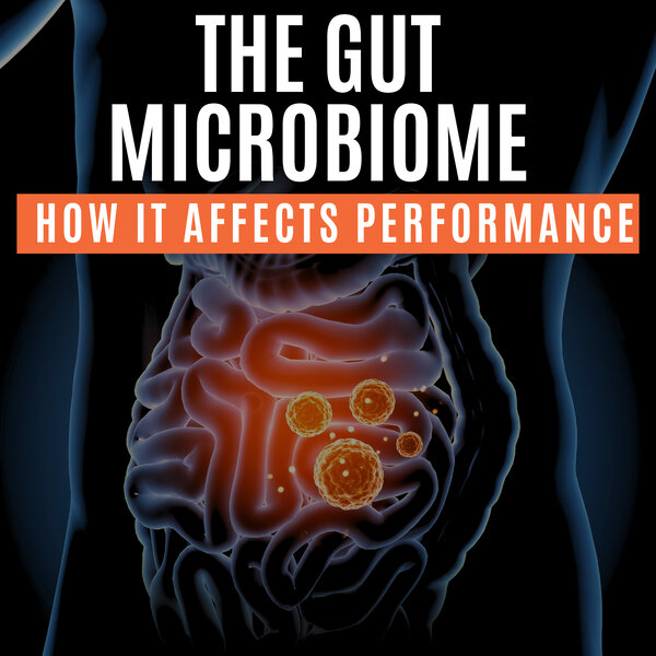 The Gut Microbiome Explained – How It Affects Performance - Triathlon ...