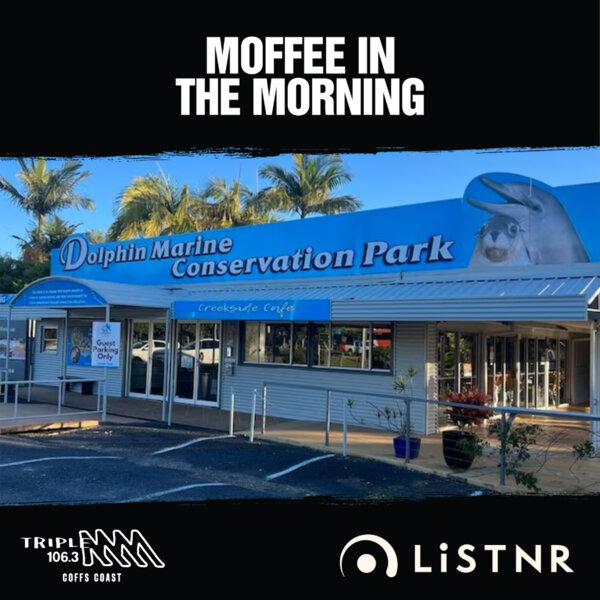 Moffee Speaks to Terry Goodall from Dolphin Marine Conservation Park ...