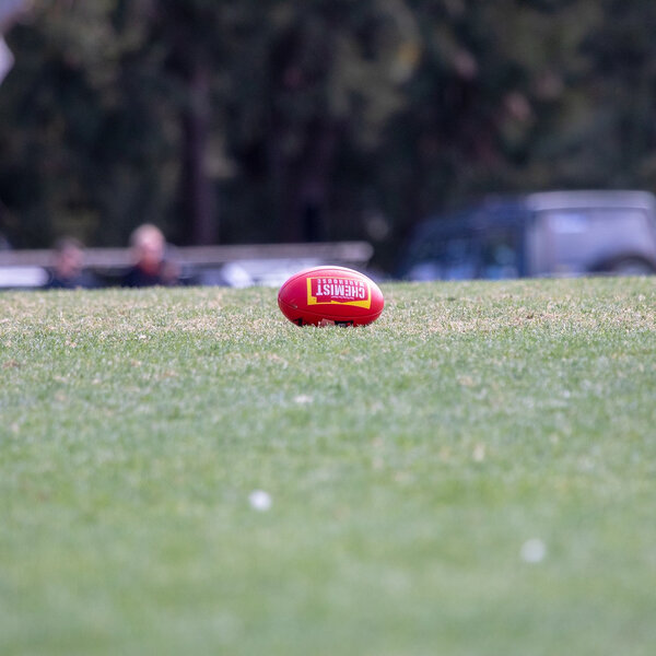 How Much Support Will AFLW Star Bec Miller Have On Saturday? (HINT ...