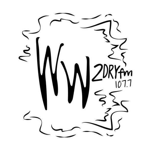 Episode 63: NSW Connectivity Expert Panel (feat. Water Minister Rose ...