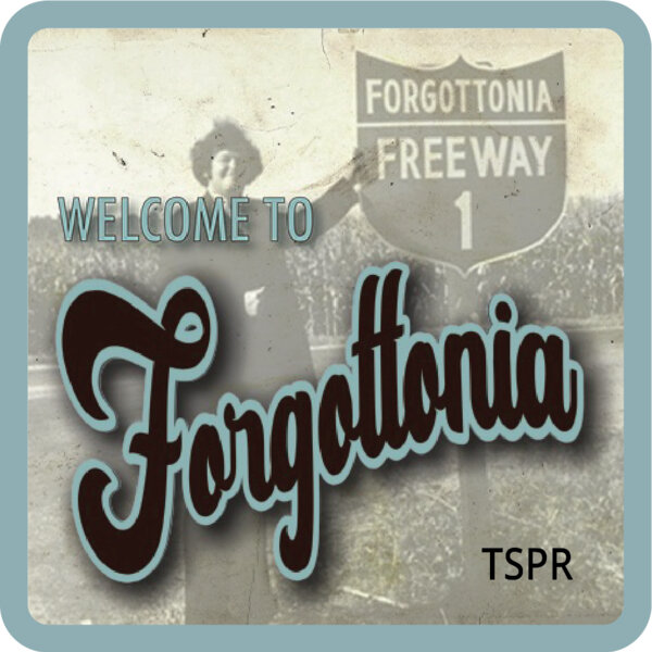 Welcome to Forgottonia – Our Voices - Welcome to Forgottonia - Omny.fm