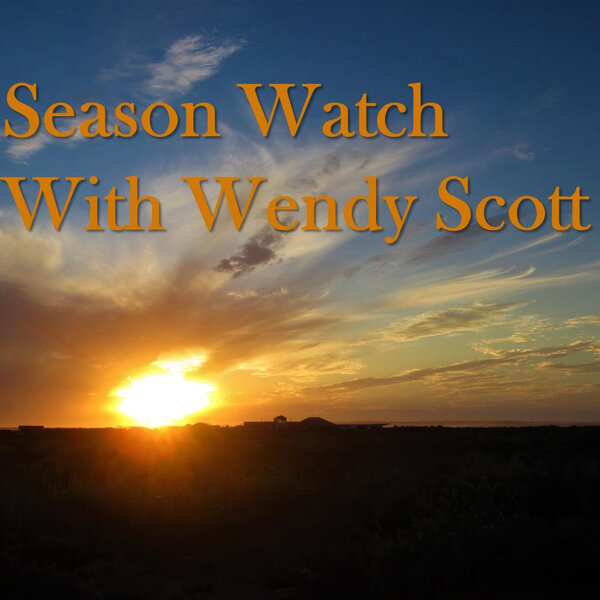 SEASON WATCH | 03.23.25 - Season Watch with Wendy Scott - Omny.fm