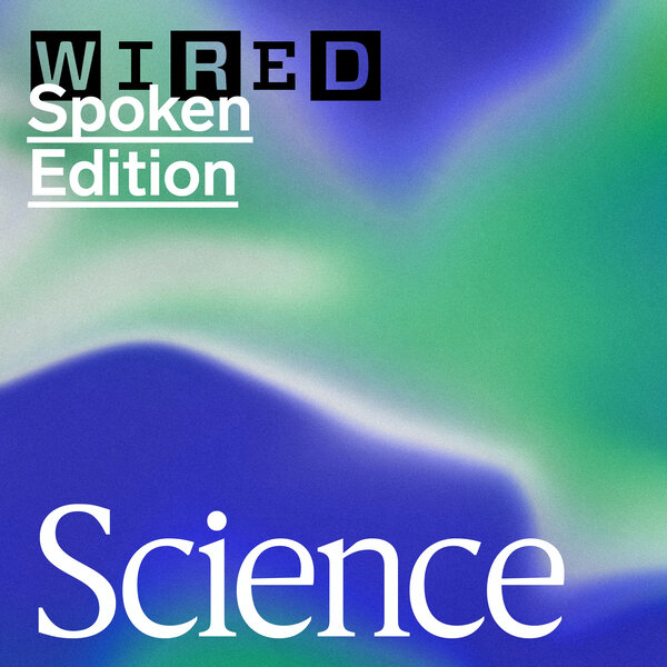 What Termites Teach Us About Robot Cooperation - WIRED Science - Omny.fm
