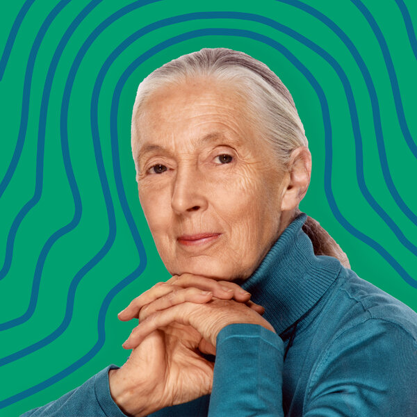 Listen Again: Julia Gets Wise with Jane Goodall - Wiser Than Me with ...