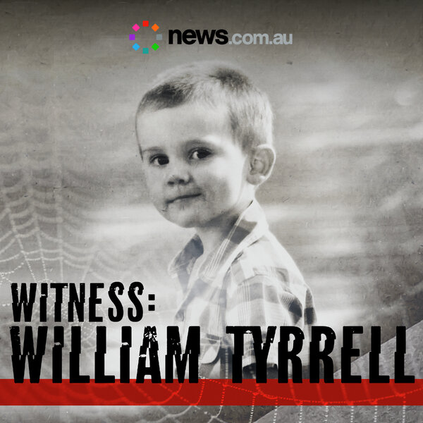 The Bird Tree | William Tyrrell: 12 - Witness: Sex, Lies and Streaming ...