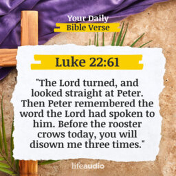 Lent - The Grace to Begin Again After Failure (Luke 22 61) - Your Daily ...