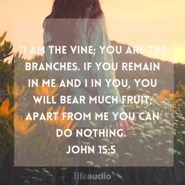 How To Bear Lasting Fruit (John 15:5) - Your Daily Bible Verse - Omny.fm