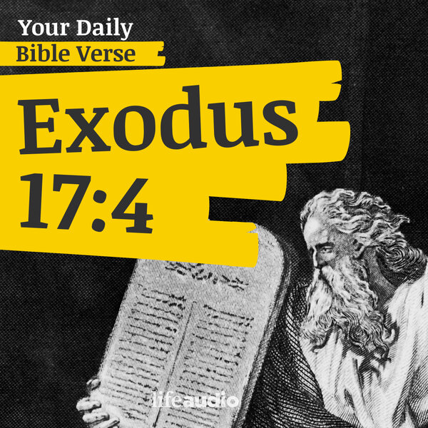 Moses' Response to a Violent Mob (Exodus 17:4) - Your Daily Bible Verse ...