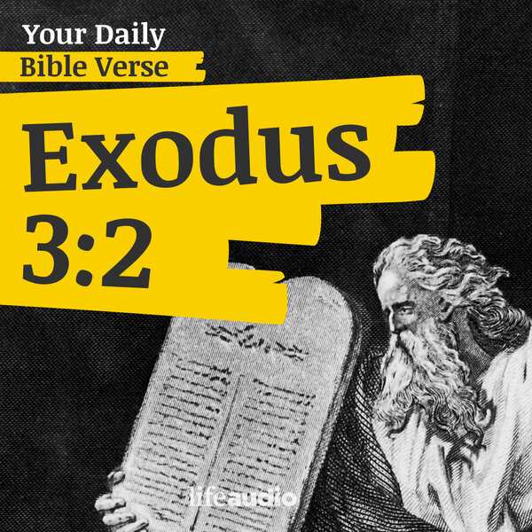Seen from the Burning Bush (Exodus 3:2) - Your Daily Bible Verse - Omny.fm