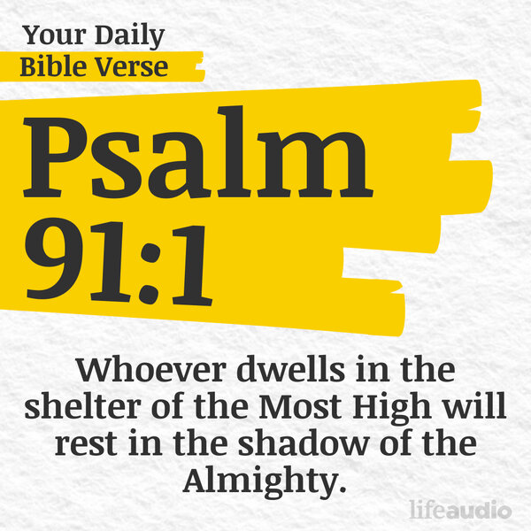 Sheltering in God's Shadow in Stormy Seasons (Psalm 91:1) - Your Daily ...