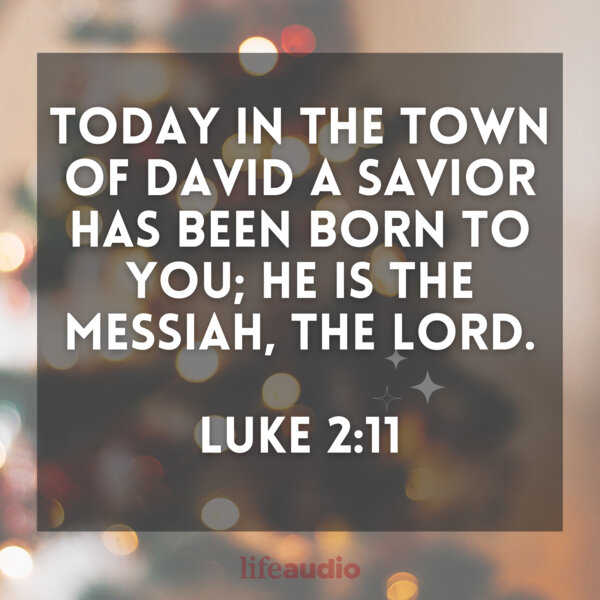 The Birth Announcement (Luke 2:11) - Your Daily Bible Verse - Omny.fm